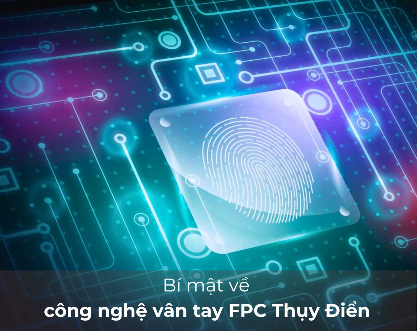 Công nghệ vân tay FPC Thụy Điển là gì? Nguyên lý và ưu điểm
